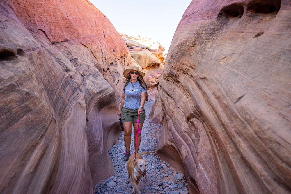 Valley of Fire State Park Pink Canyon hike – Never Say Someday