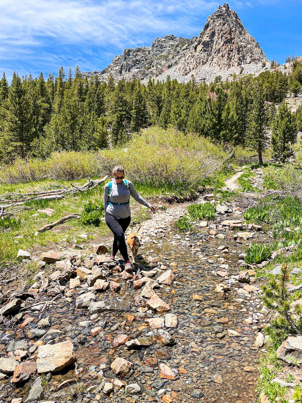Virginia Lakes Trail Bridgeport Calif – Never Say Someday